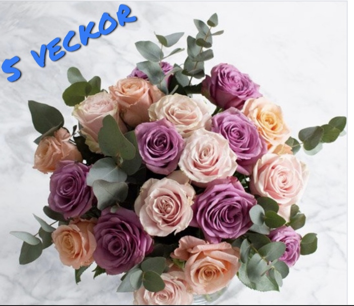 5 veckor :: EmiLous